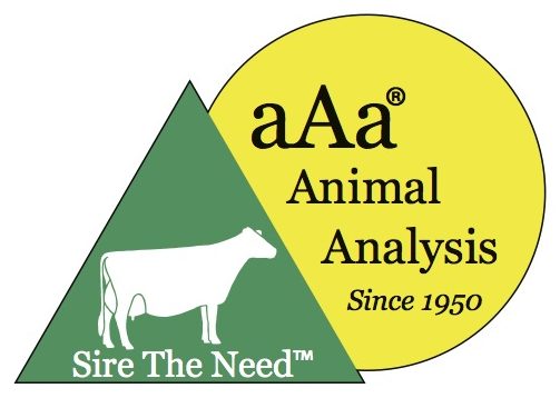 Deutsche Sprache - aAa Weeks