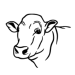 How does aAa® work? - aAa Weeks