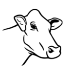 How does aAa® work? - aAa Weeks